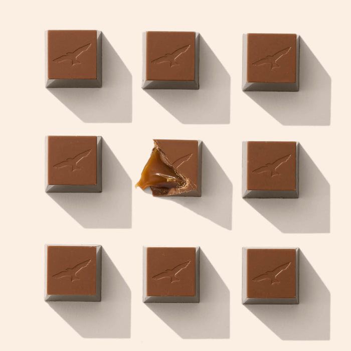 9 Whole Roasted Hazelnut & Crispy Praline in Milk Chocolate