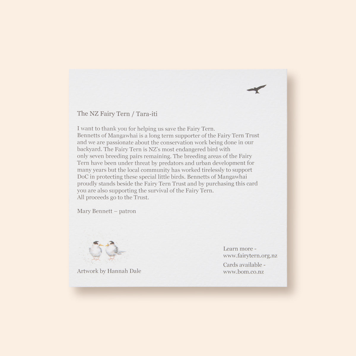 Fairy Tern Greeting Card 5 Pack