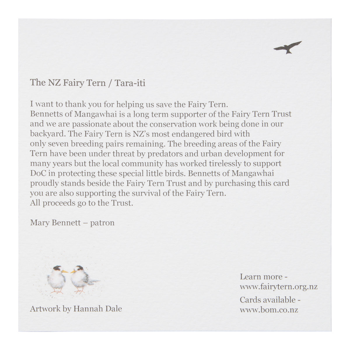 Fairy Tern Greeting Card